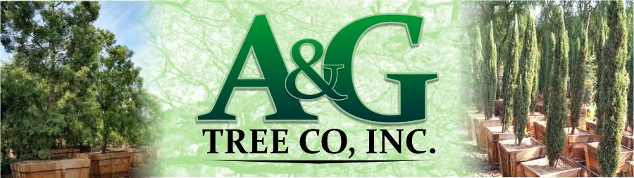 A & G Tree Company, Inc. About Us, Buying Trees